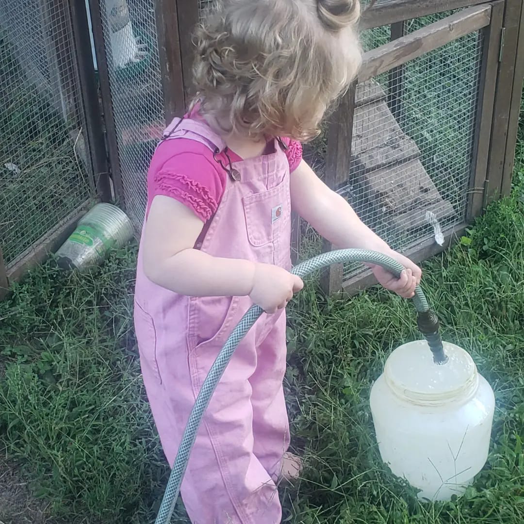 Huckleberry Farms – Eat Local. Live Wholesome. Cherish Traditions.