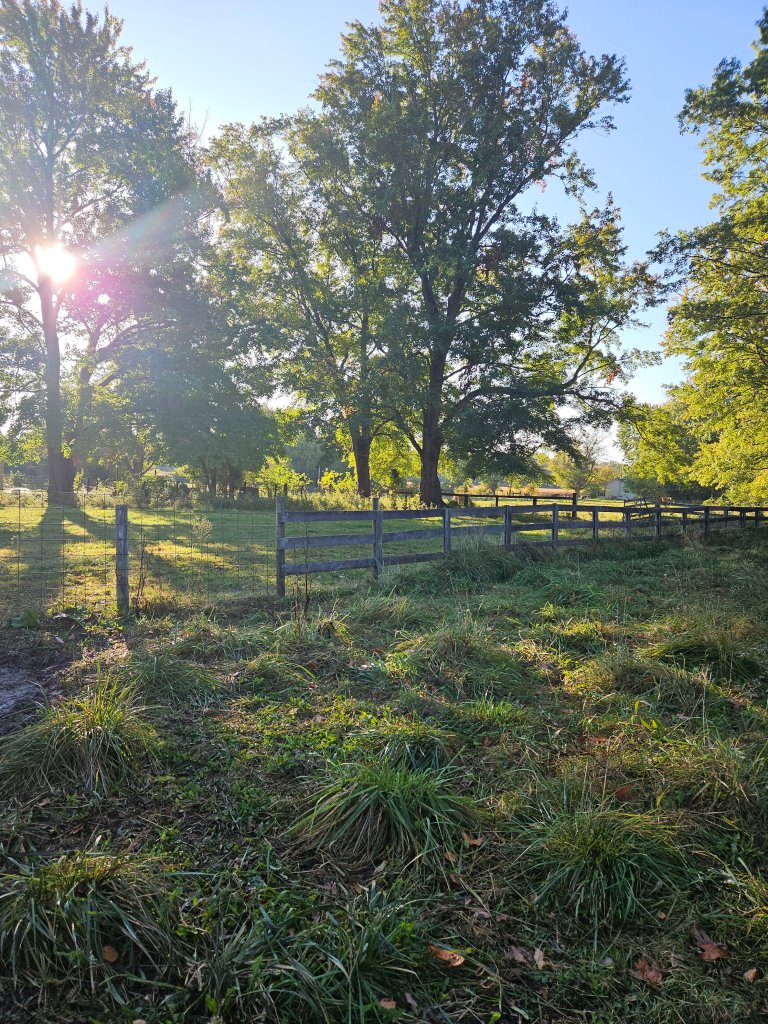 Our Story – Huckleberry Farms