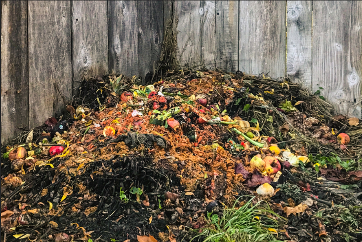 Cultivating Sustainability: 8 Practices for a Greener Garden ...