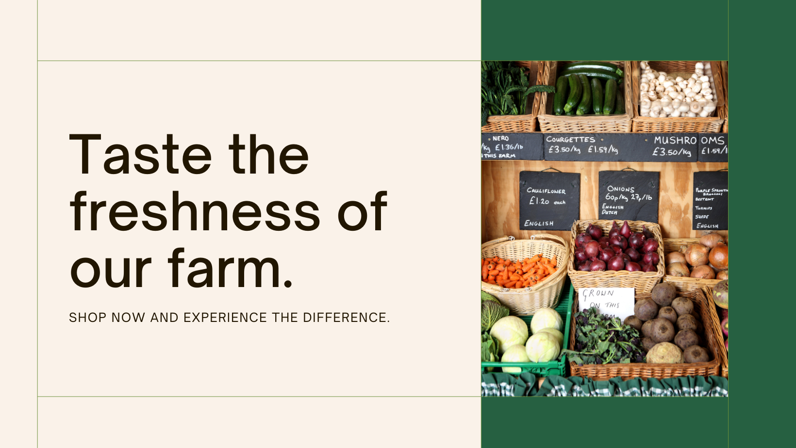 Rabbit Farming: An Ethical and Sustainable Source of Protein ...