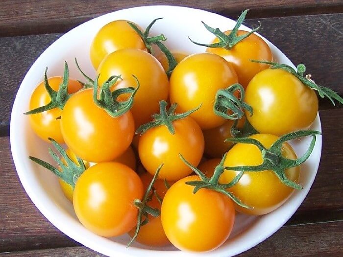 Vegetable Spotlight: Sun Sugar Yellow Cherry Tomatoes — The Sun-Kissed ...