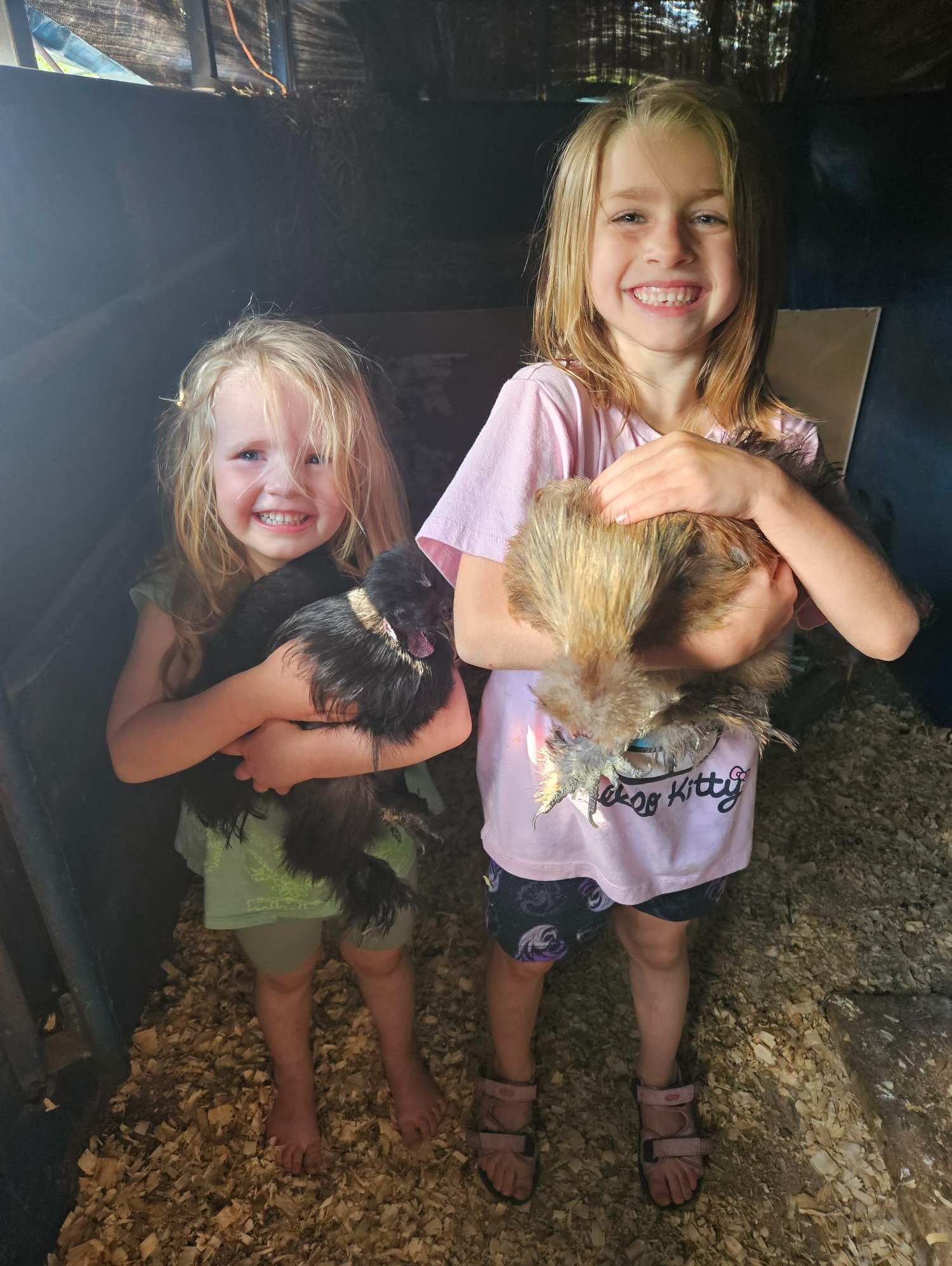 Meet the Farmers – Huckleberry Farms