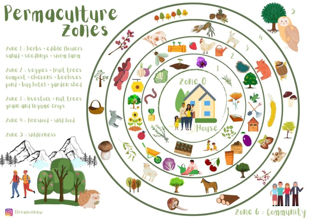 Introduction: Embracing Permaculture Zones on the Farm – Huckleberry Farms