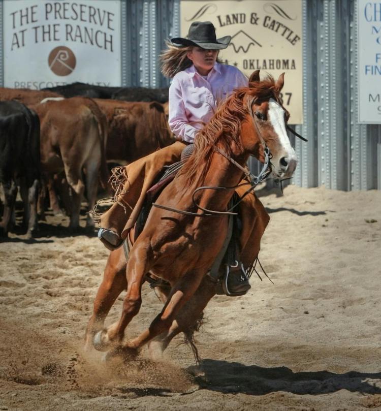 Rodeos: Keeping Cowboy Traditions Alive – Huckleberry Farms