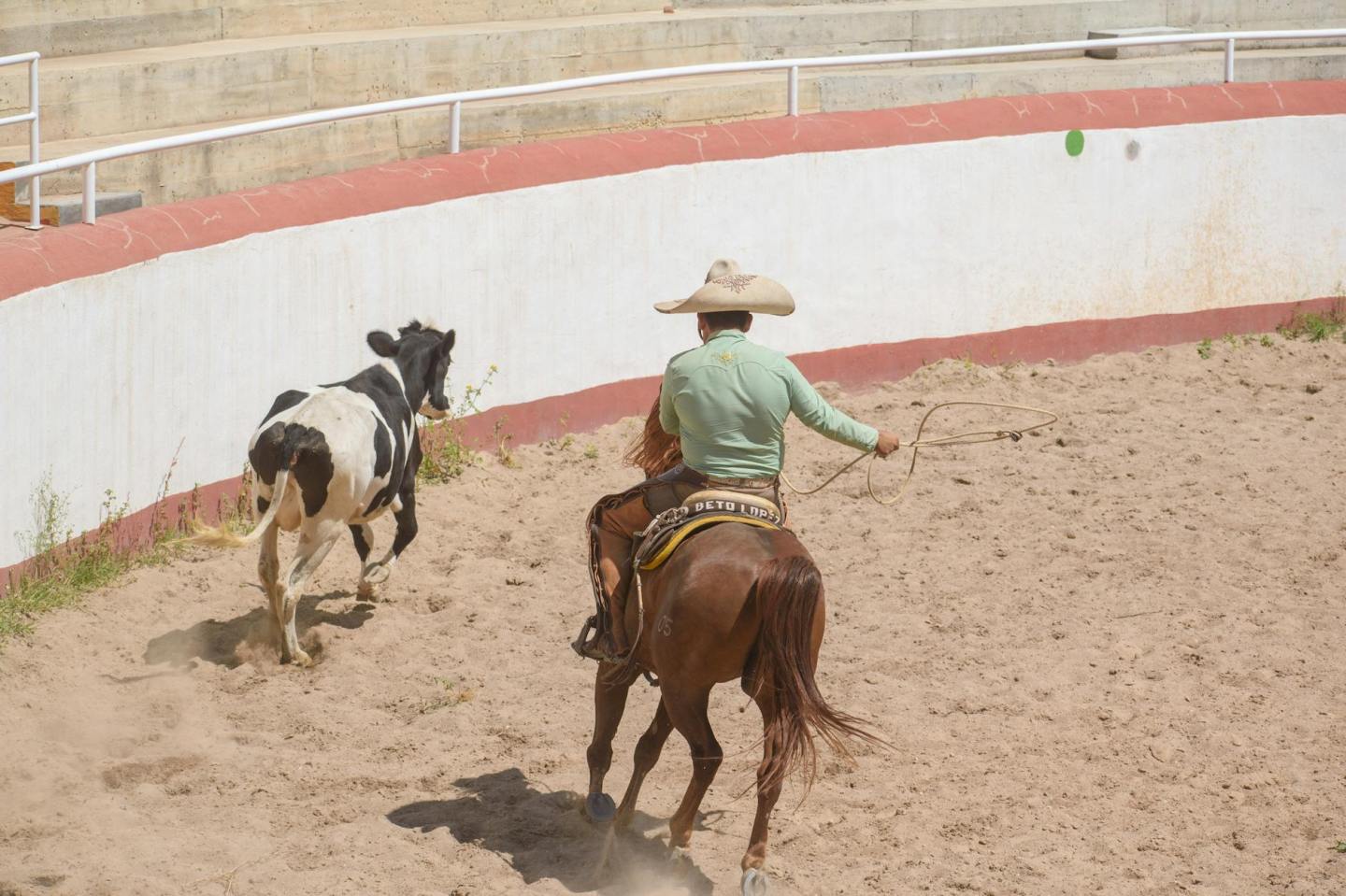 Cowboy Life: Tools, Traditions, and Techniques – Huckleberry Farms