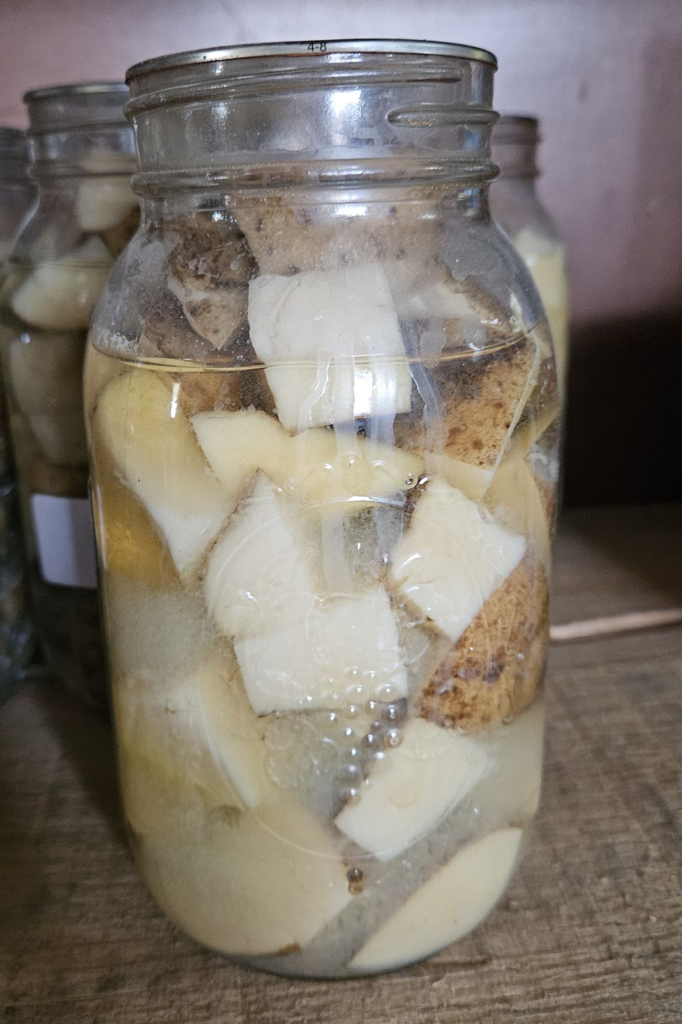 The Science Behind Canning: How It Works – Huckleberry Farms