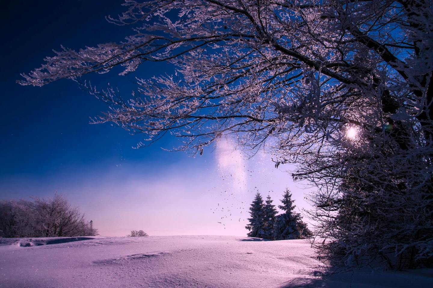 Ecological Reset: How Cold Snaps Protect Crops and Restore Balance in ...